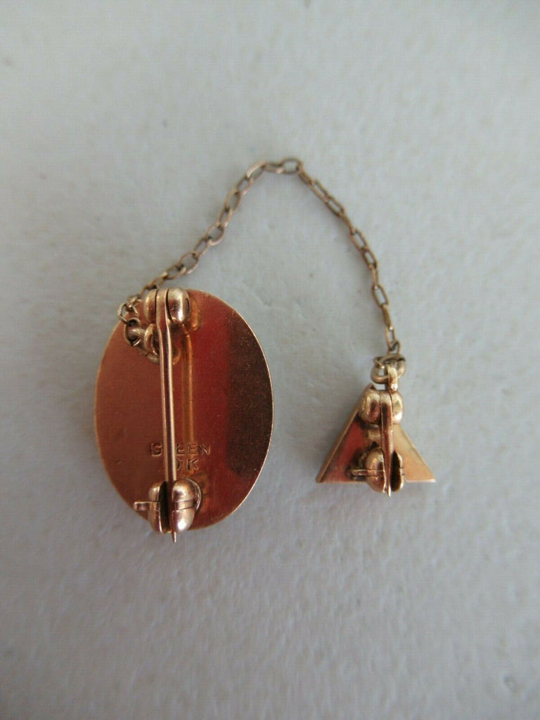 USA FRATERNITY PIN THETA EPSILON. MADE IN GOLD 10K. MARKED. 1055 ...